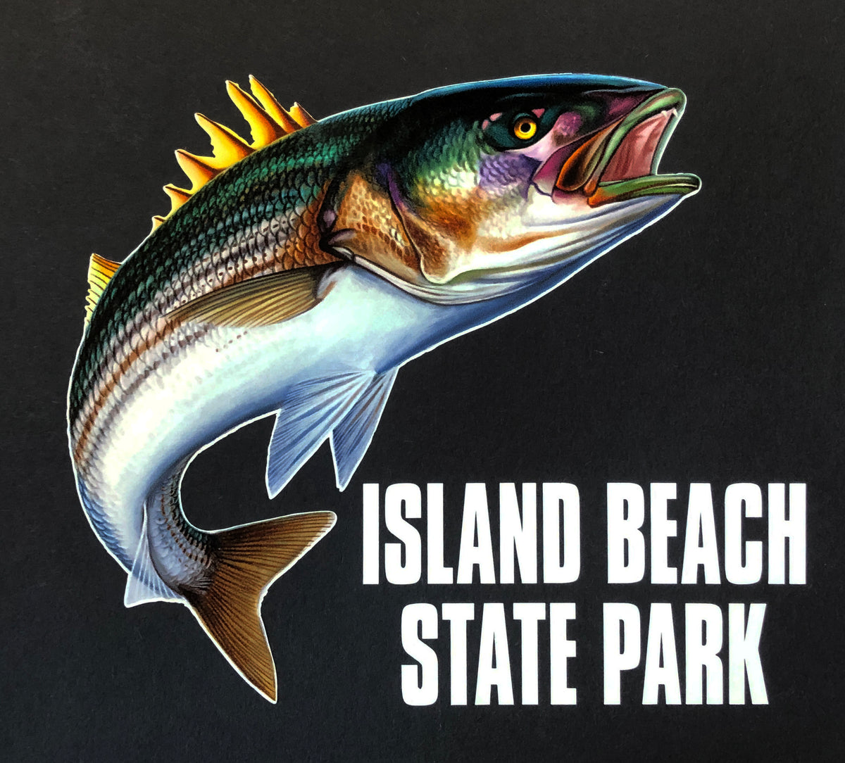 Island Beach State Park Striper Decal – Shore And More
