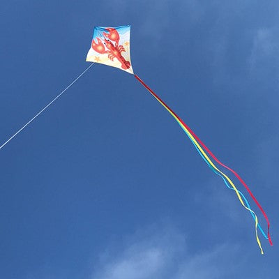 Kite - Lobster 30" Diamond – Shore And More